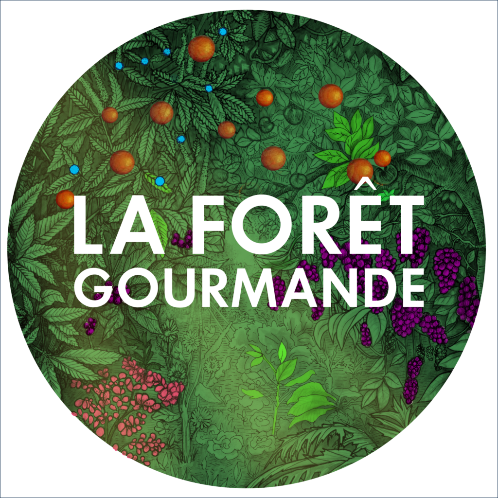 VISITES - La Forêt Gourmande
